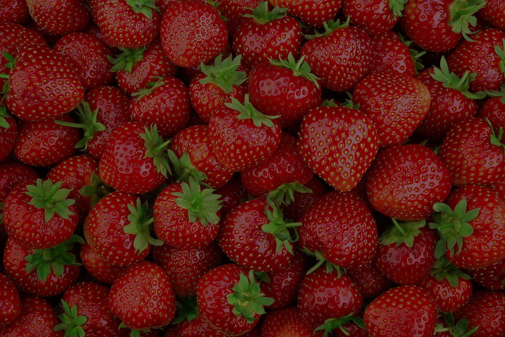 cali-berries-bg-50 - California Strawberry Commission
