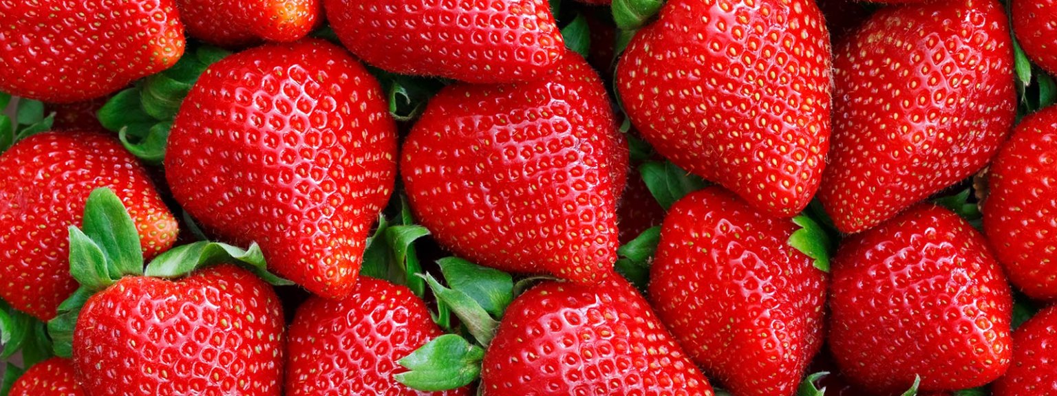strawberries-bg - California Strawberry Commission