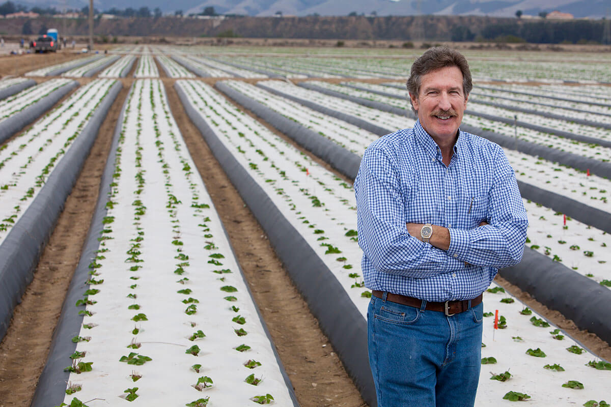 Where Strawberries are Grown - California Strawberry Commission