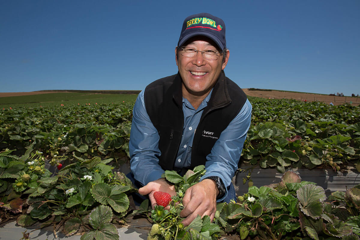 Where Strawberries are Grown - California Strawberry Commission