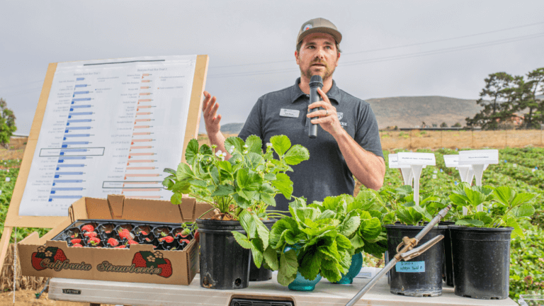 Cal Poly Presentation - California Strawberry Commission