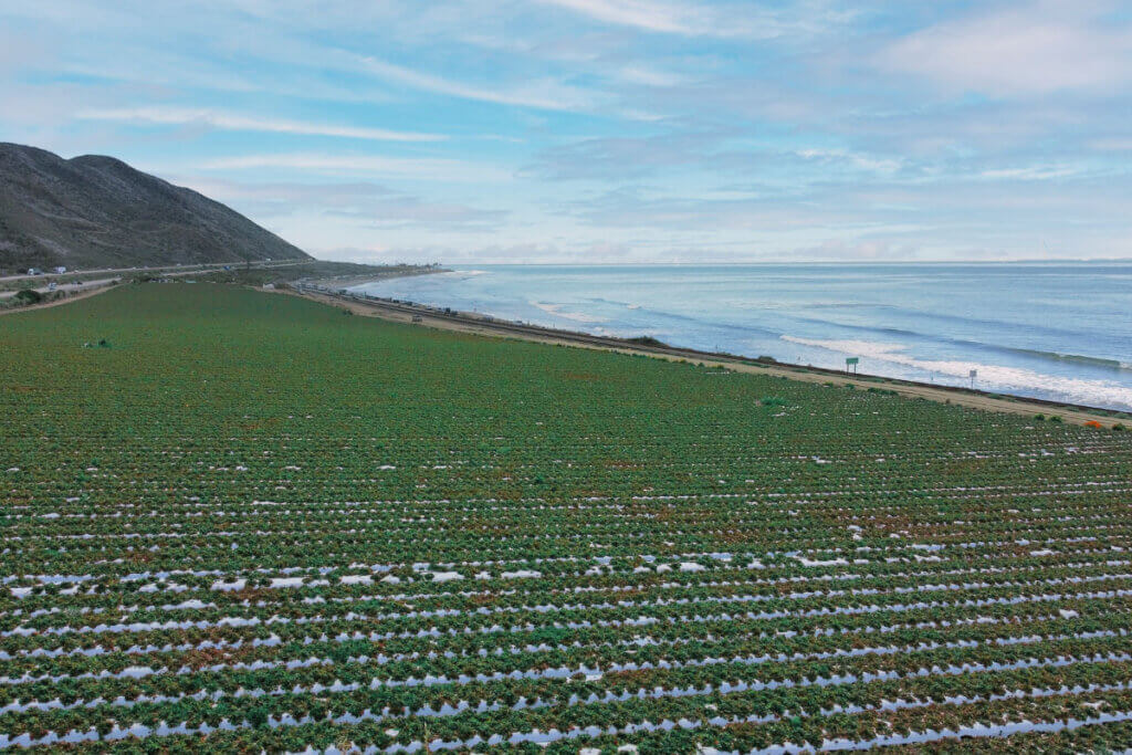 About the California Strawberry Commission - California Strawberry ...